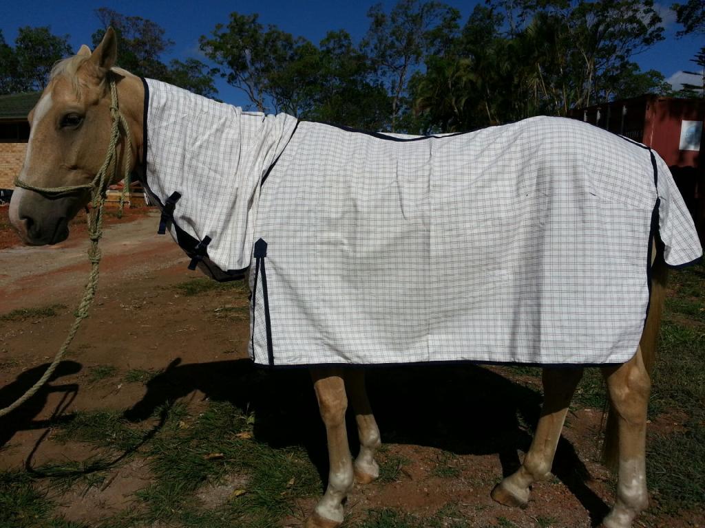 HORSE RUGS – Rawhide Western